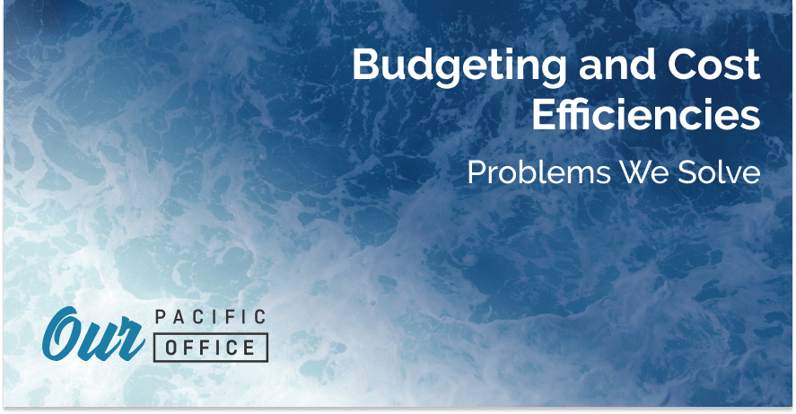 Maximizing Cost Efficiency with Smart Budgeting